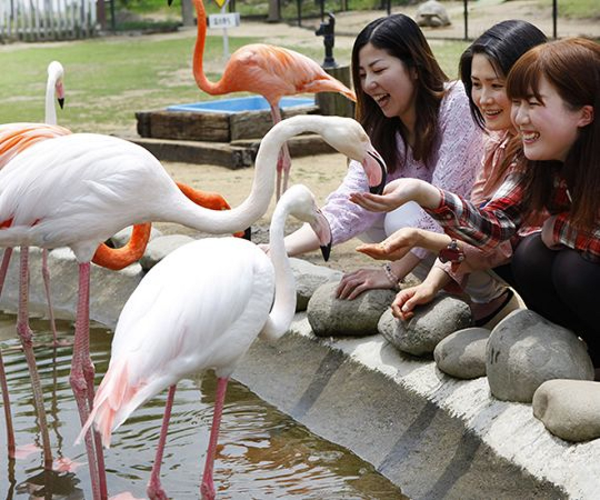 ふれあい動物王国| キャステル | CASTEL ディズニー情報